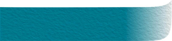 The Carter Center at a Glance